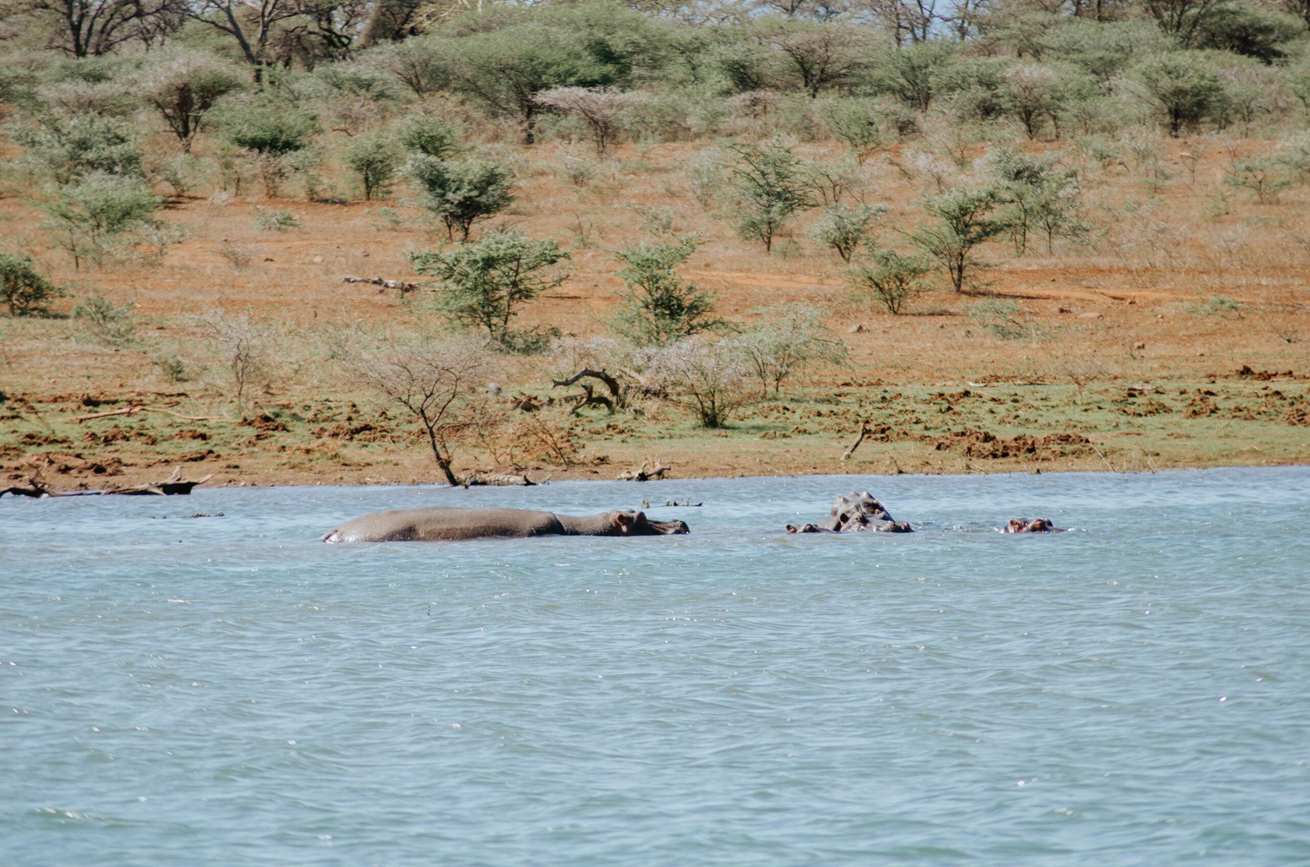 Photo Album | Sodwana Hengel Klub